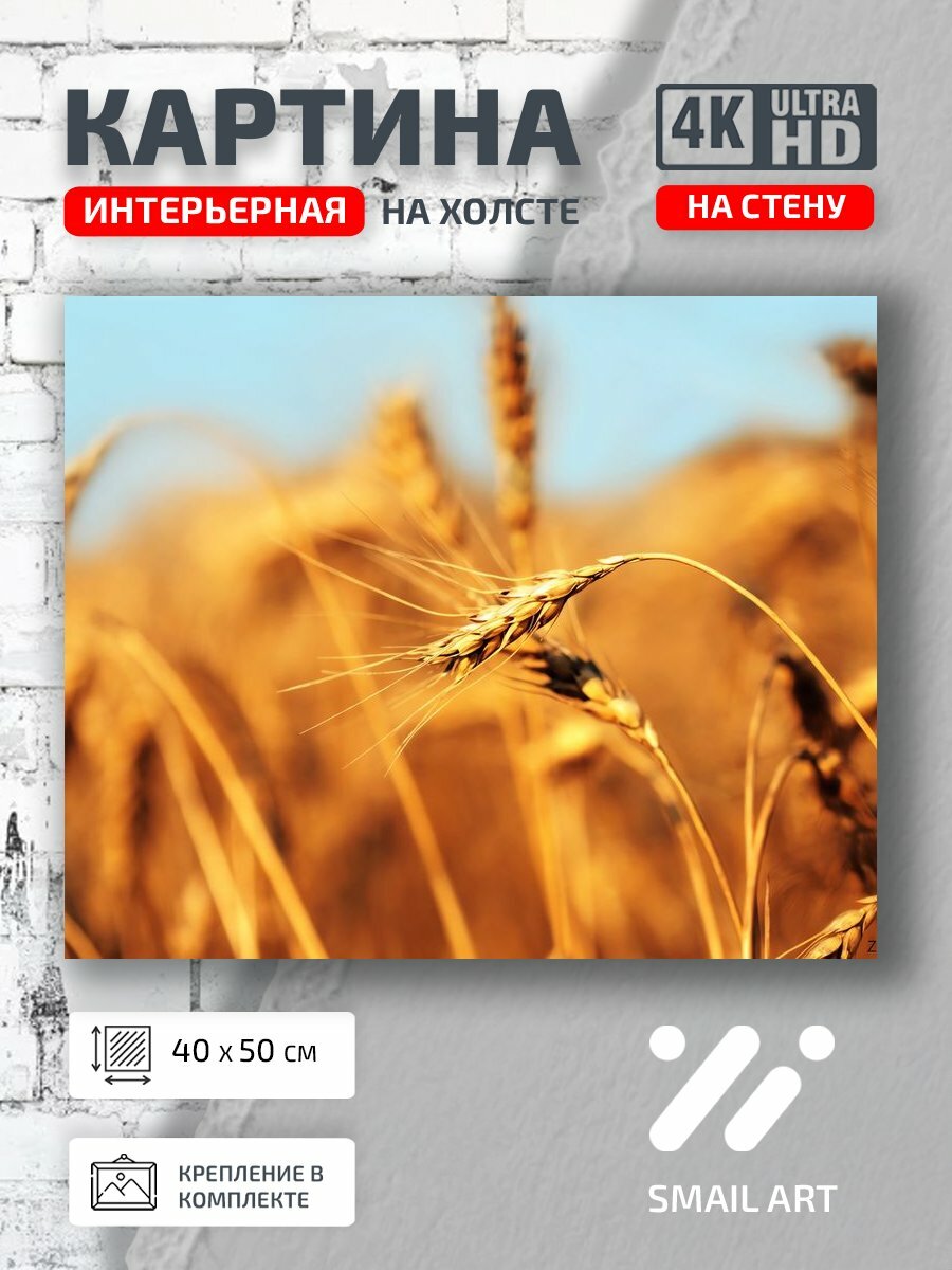 Картина на холсте интерьерная 40 на 50 на стену Поле Landscape для спальни пейзаж интерьер