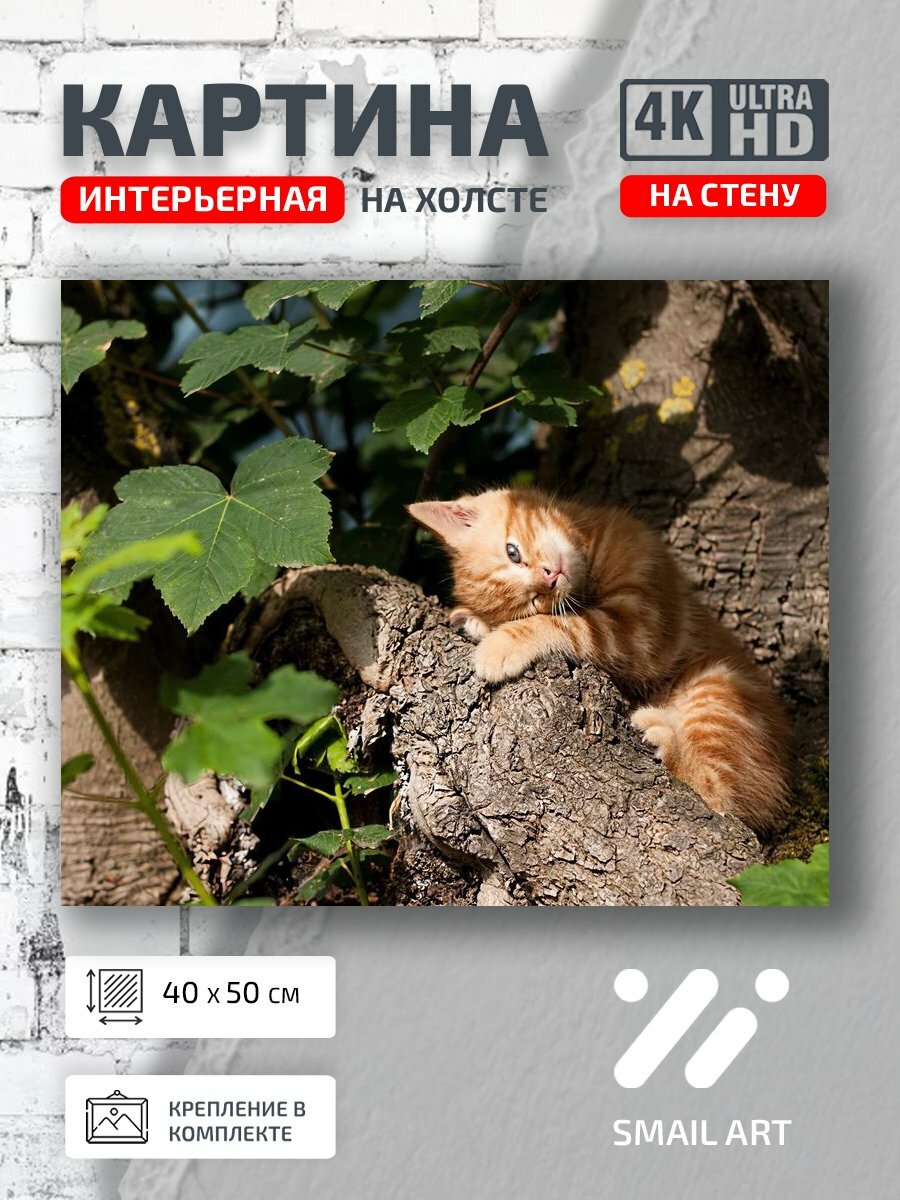 Картина на холсте интерьерная 40 на 50 на стену Дереве Animal для спальни animal style