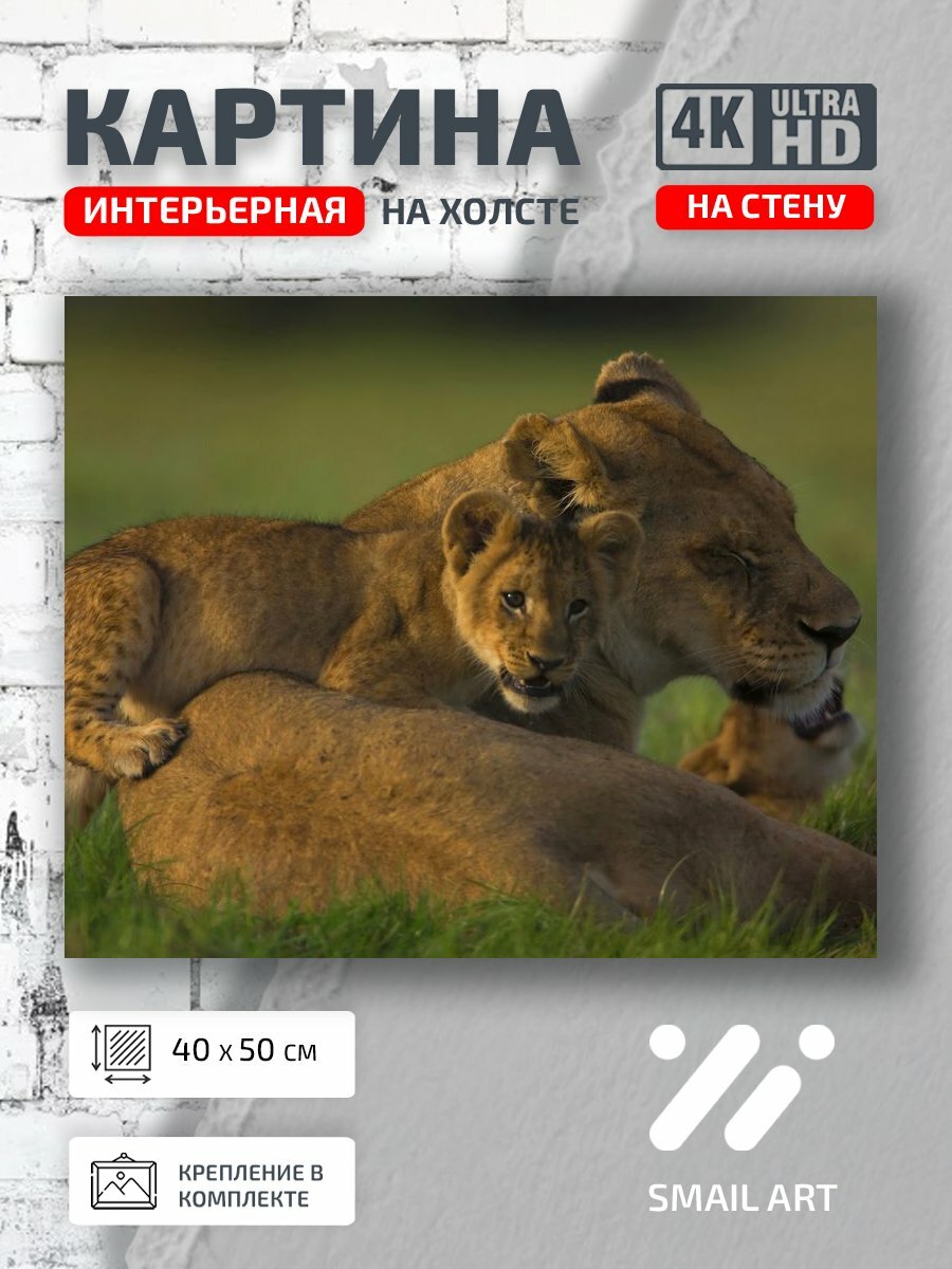 Картина на холсте интерьерная 40 на 50 на стену Львятами Mood для кабинета атмосфера декор