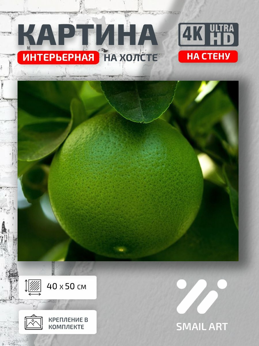 Картина на холсте интерьерная 40 на 50 на стену Зелень Landscape для гостиной пейзаж декор