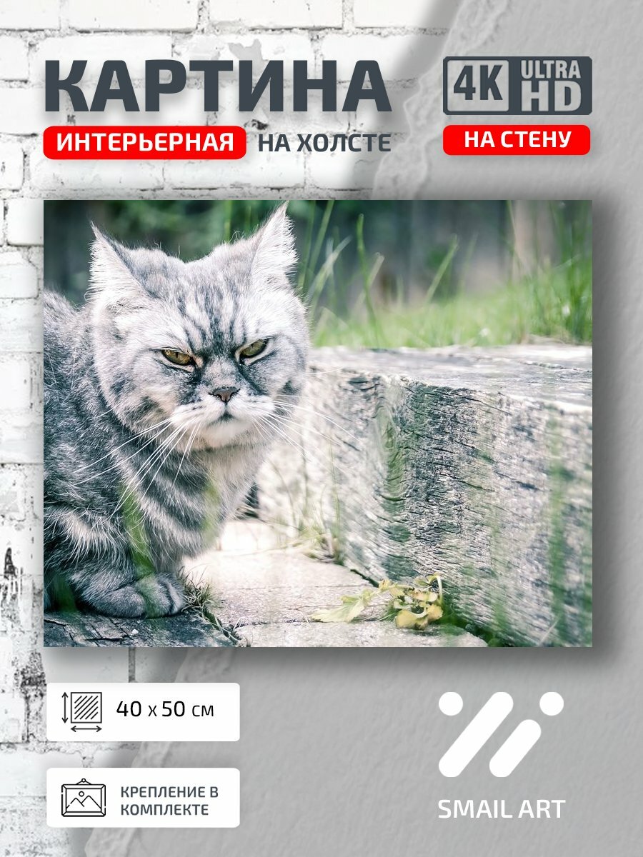 Картина на холсте интерьерная 40 на 50 на стену Трава Animal для спальни animal style декор