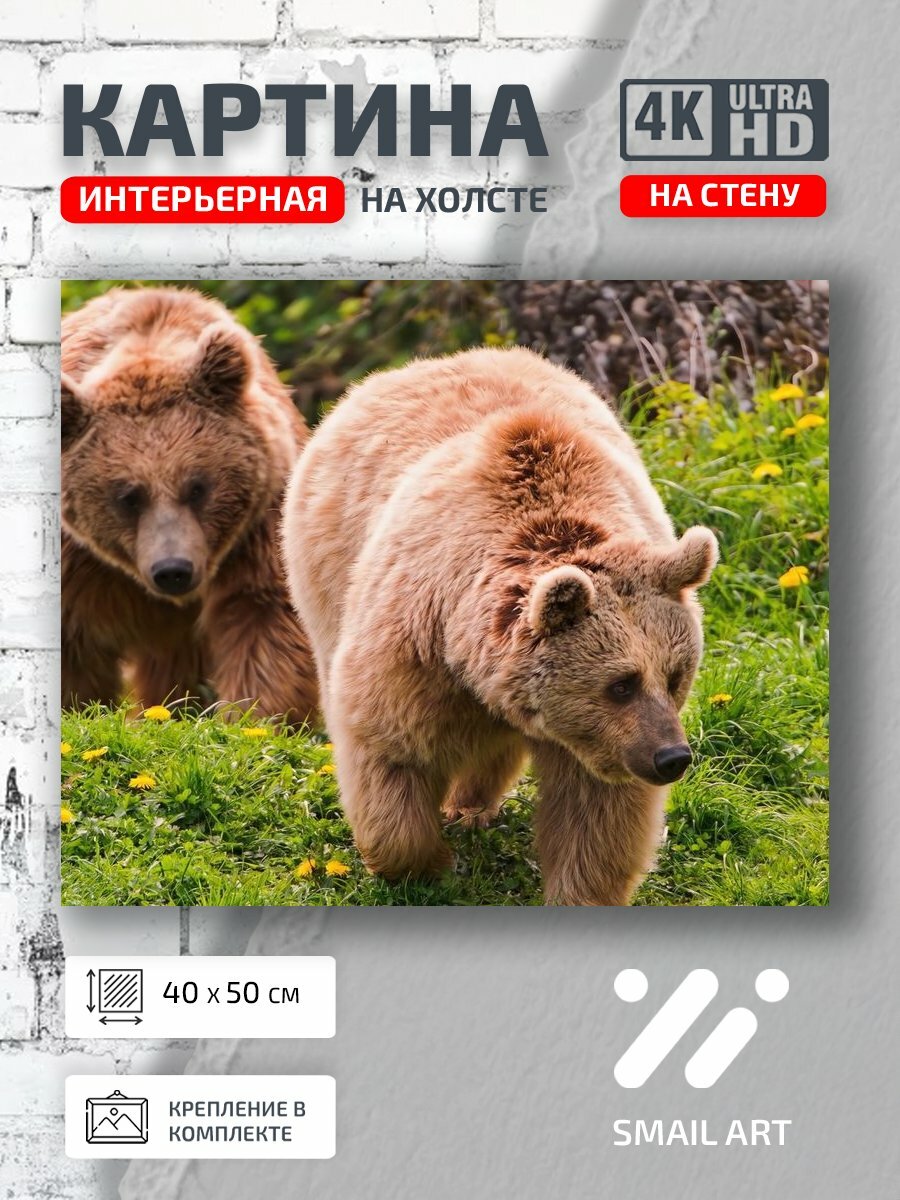 Картина на холсте интерьерная 40 на 50 на стену Трава Animal для детской animal style декор