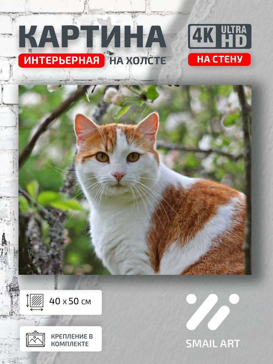 Картина на холсте интерьерная 40 на 50 на стену Кот Animal для детской animal style декор