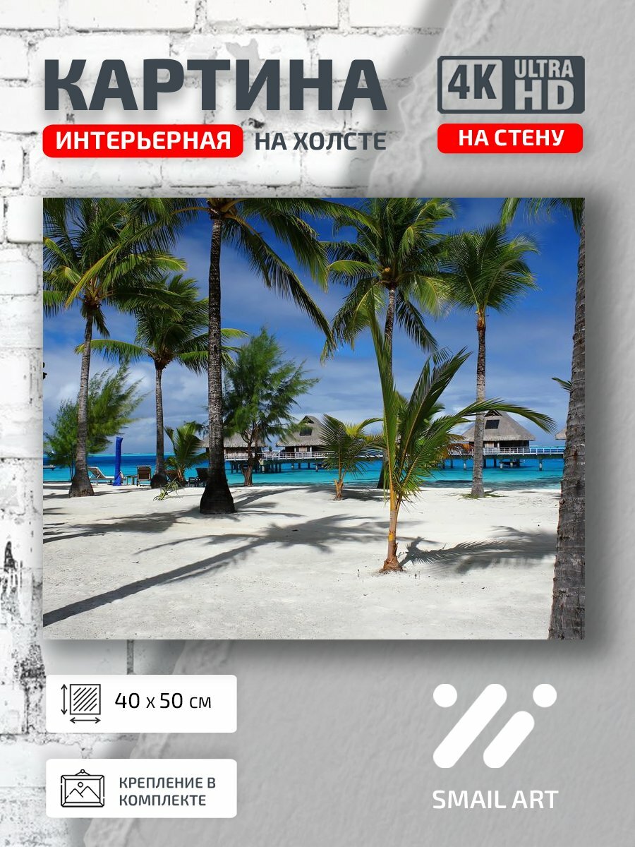 Картина на холсте интерьерная 40 на 50 на стену Тропики Landscape для офиса пейзаж интерьер