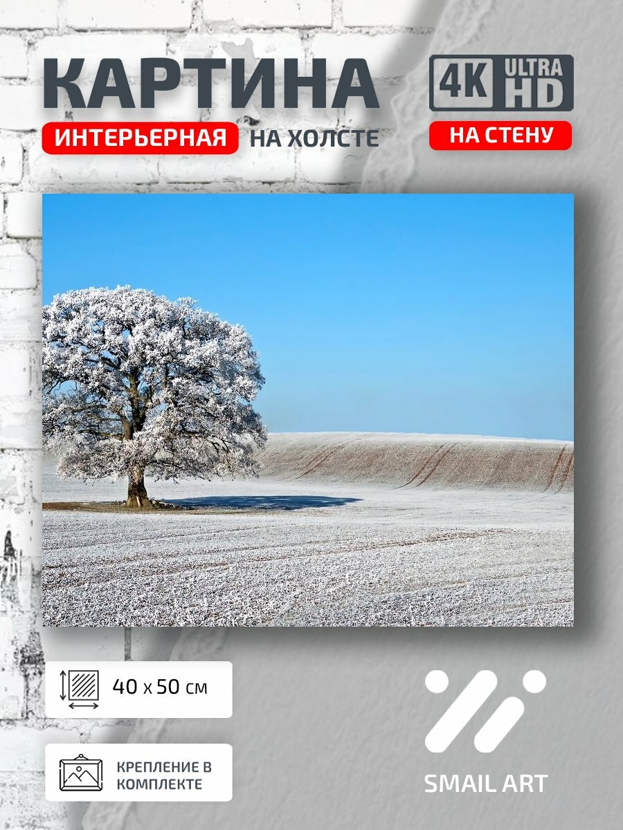 Картина на холсте интерьерная 40 на 50 на стену Иней field для кабинета пейзаж интерьер