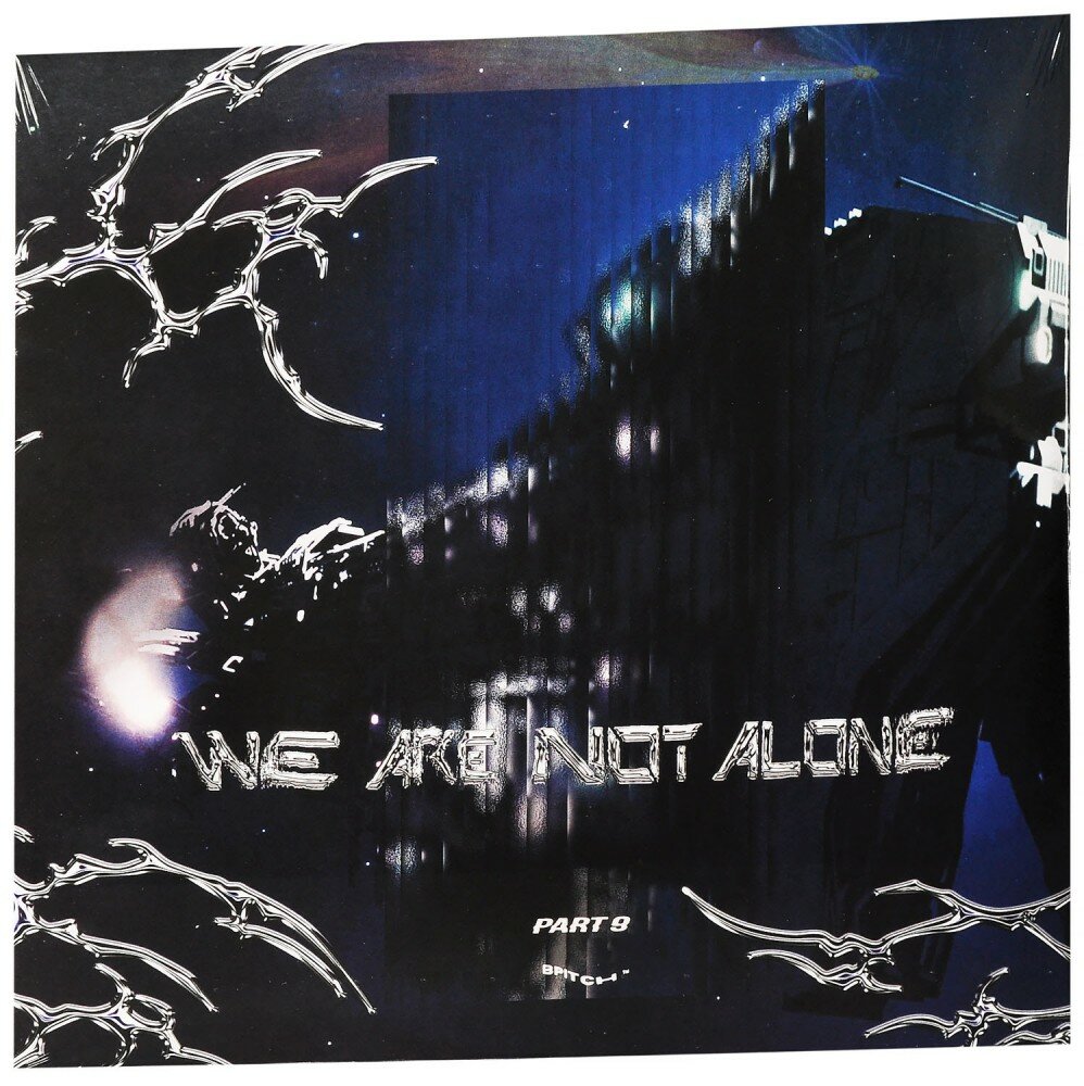 Виниловая пластинка Various Artists. We Are Not Alone - Part 9 (2 LP, винил, черный) (Картонный конверт)
