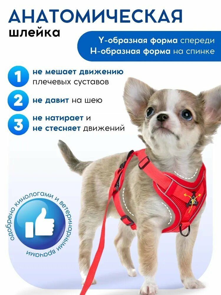 Шлейка, красный аксессуар из ABS пластика, неопрена и нержавеющей стали для повседневного использования — фото 1