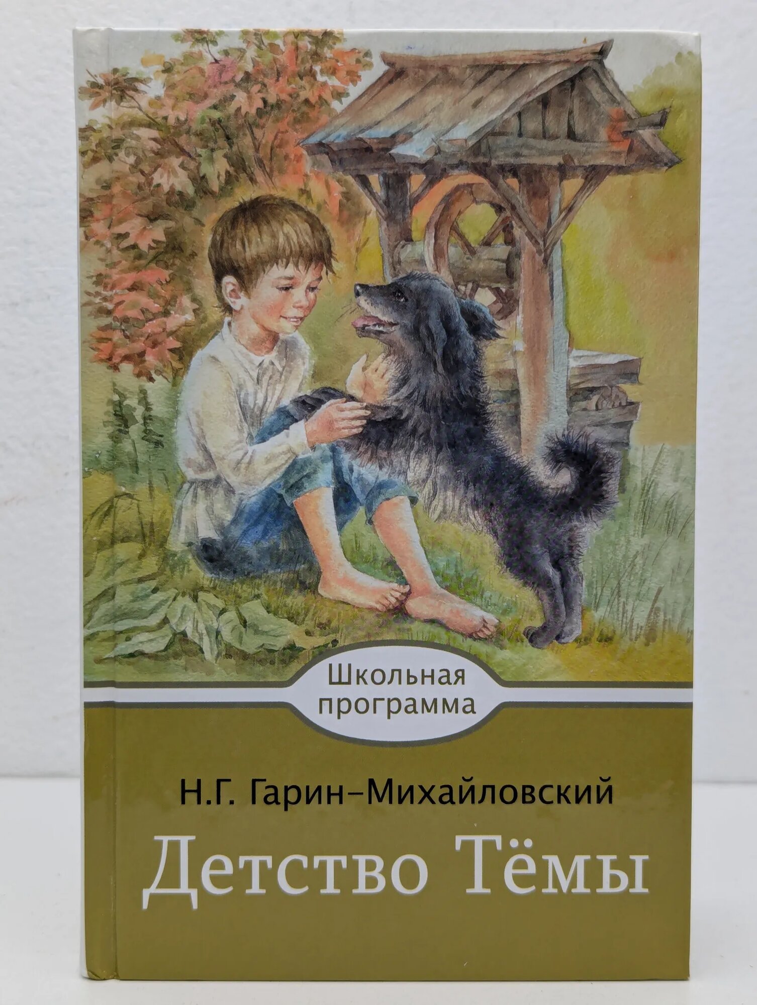 Детство Темы Гарин-Михайловский Николай Георгиевич 2017