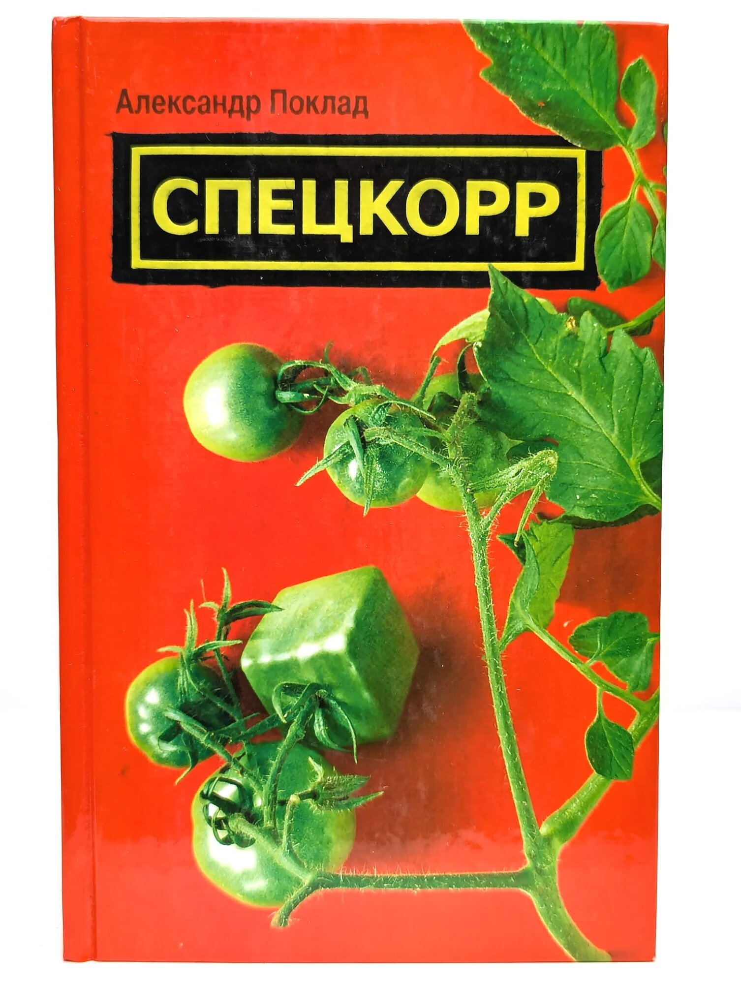 Спецкорр Поклад Александр Борисович 2003