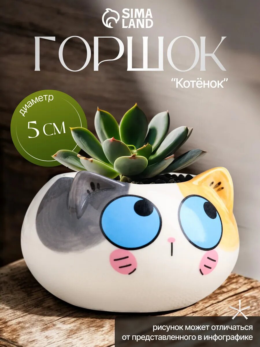 Горшок для цветов «Котёнок», 200 мл, 9×9×6 см, керамика, цвет микс