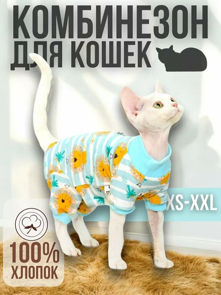 Комбинезон для кошек из хлопка: анатомический крой, размер L (для сфинксов, после операций)