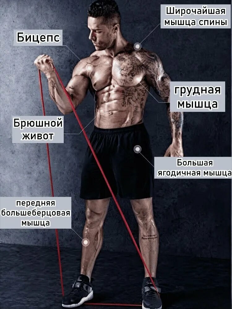 Фитнес-резинка — фото 1