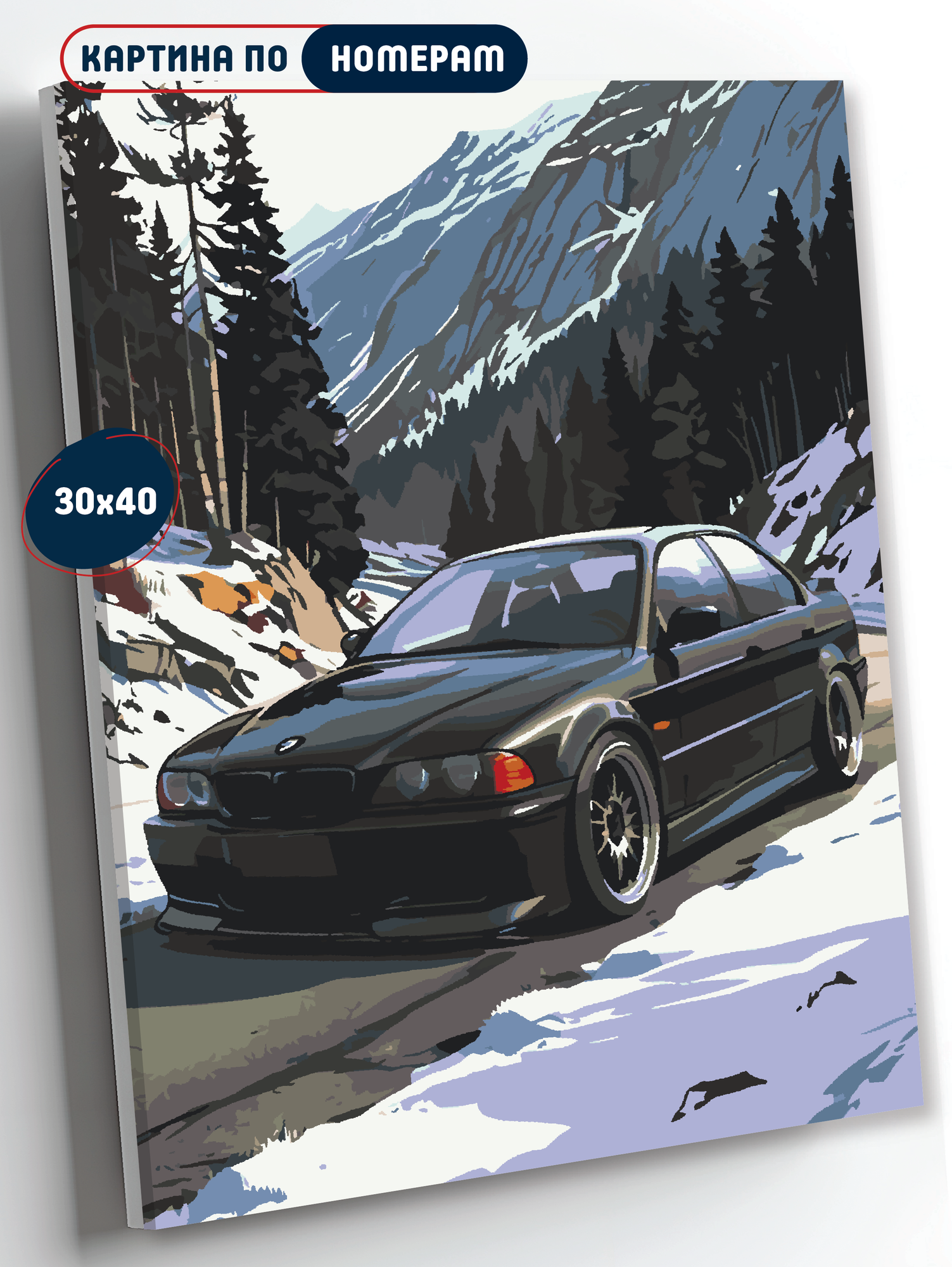 Картина по номерам "BMW E39 №3", Холст на подрамнике 30х40