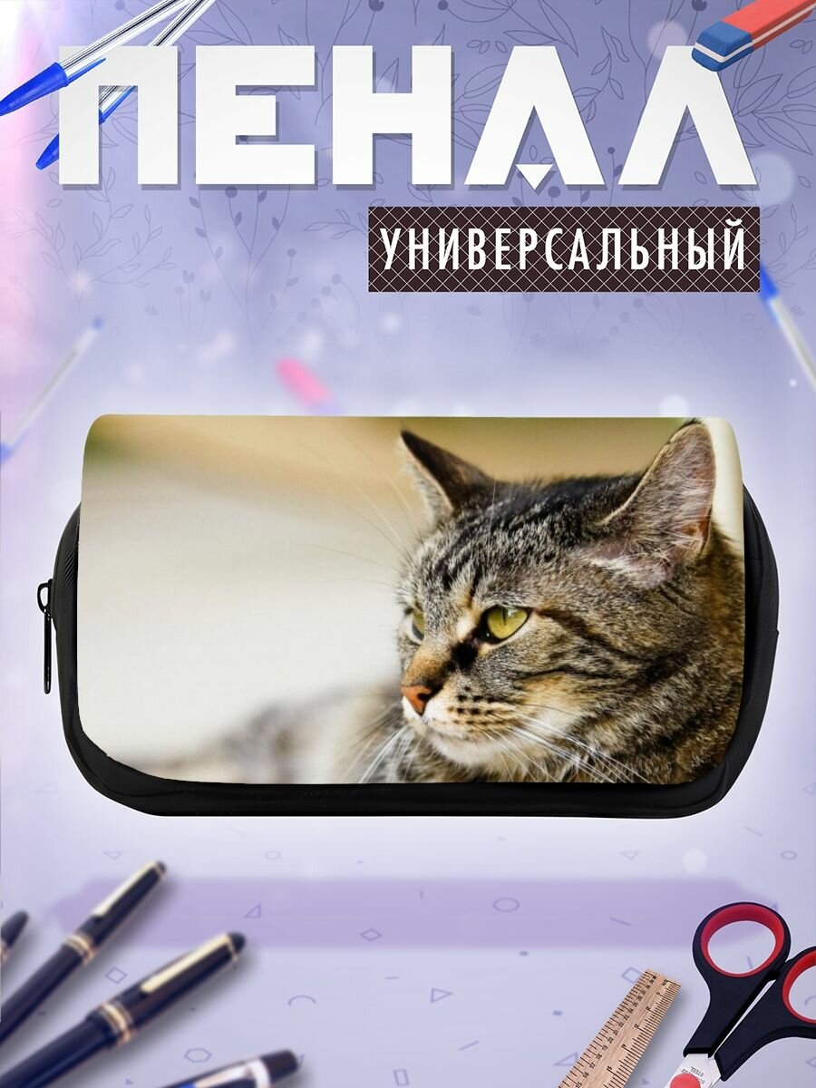 Школьный пенал кот пес