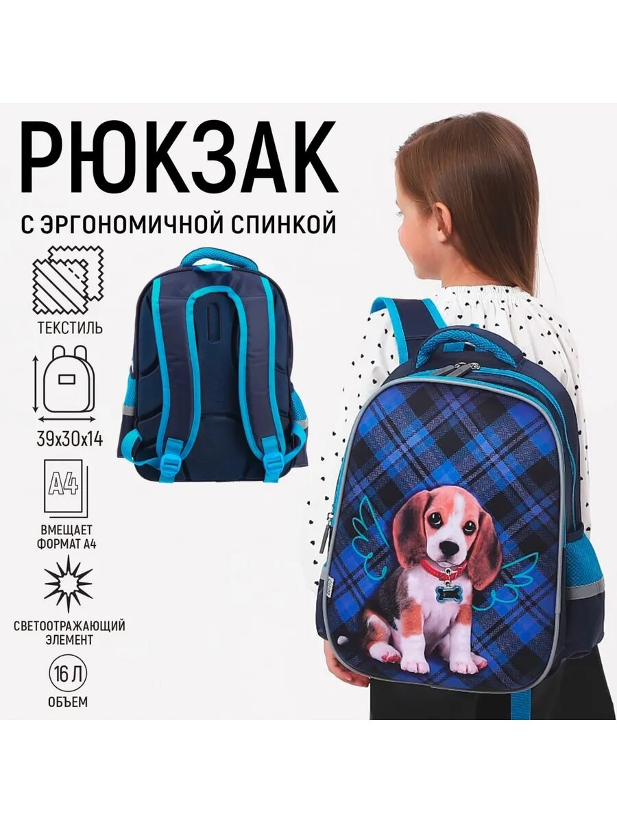 Рюкзак школьный "Собака", светоотражающие элементы, с эргономичной спинкой — фото 1