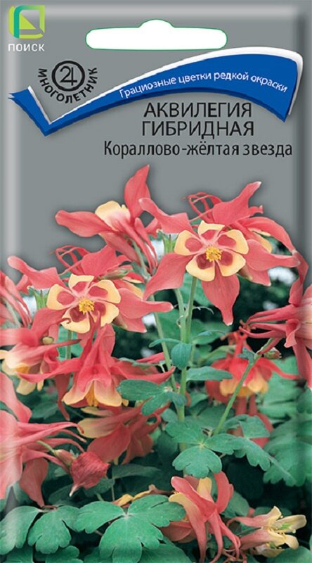 Семена цветов аквилегия Кораллово-желтая звезда, для дачи, сада, огорода и на рассаду