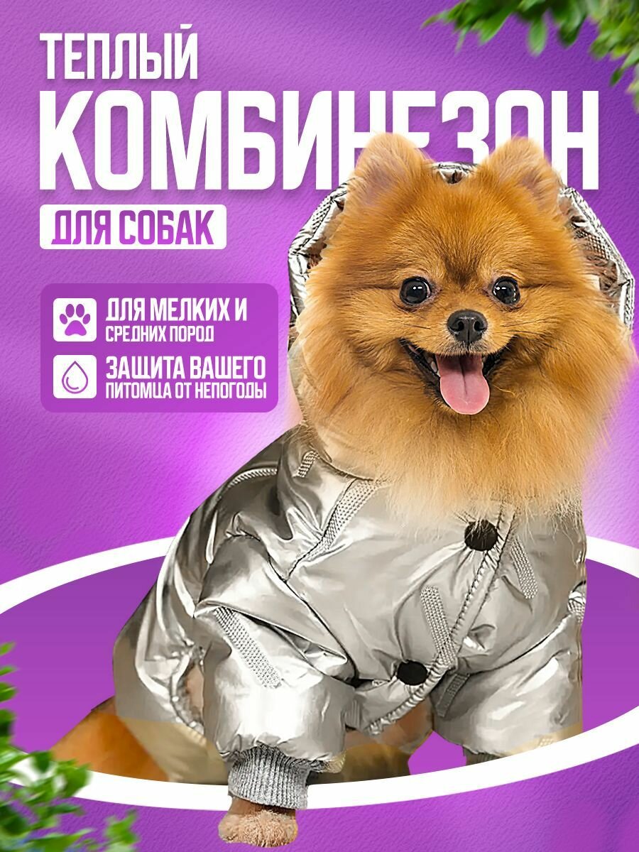 Комбинезон для собак мелких пород