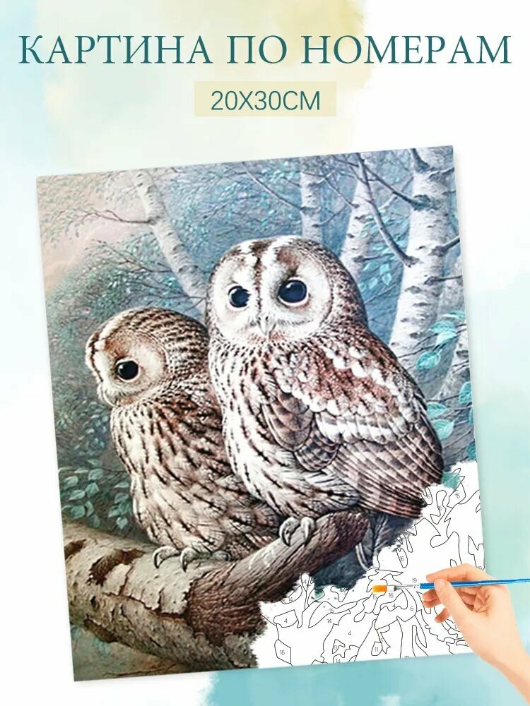 Картина по номерам на холсте с без подрамником 20х30 / "Серая лесная сова"