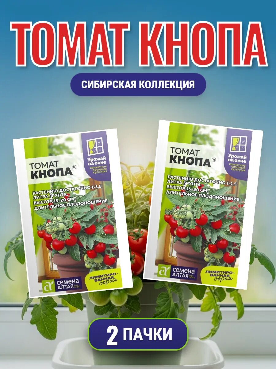 Семена томатов Кнопа для выращивание на окне и балконе "Семена Алтая"