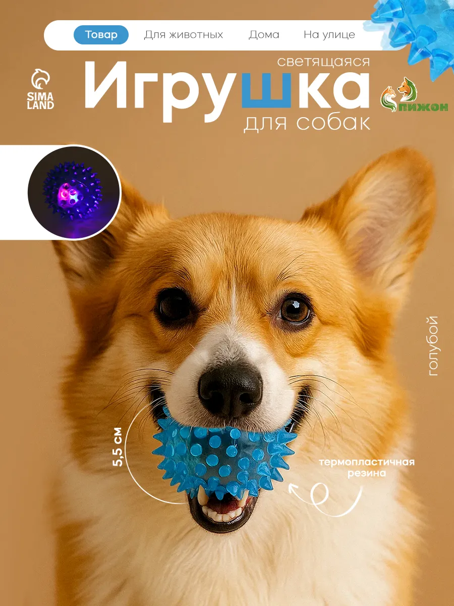 Мяч Пижон, для аппортировки, светящийся, для собак, термопластичная резина, голубой, 5.5 см