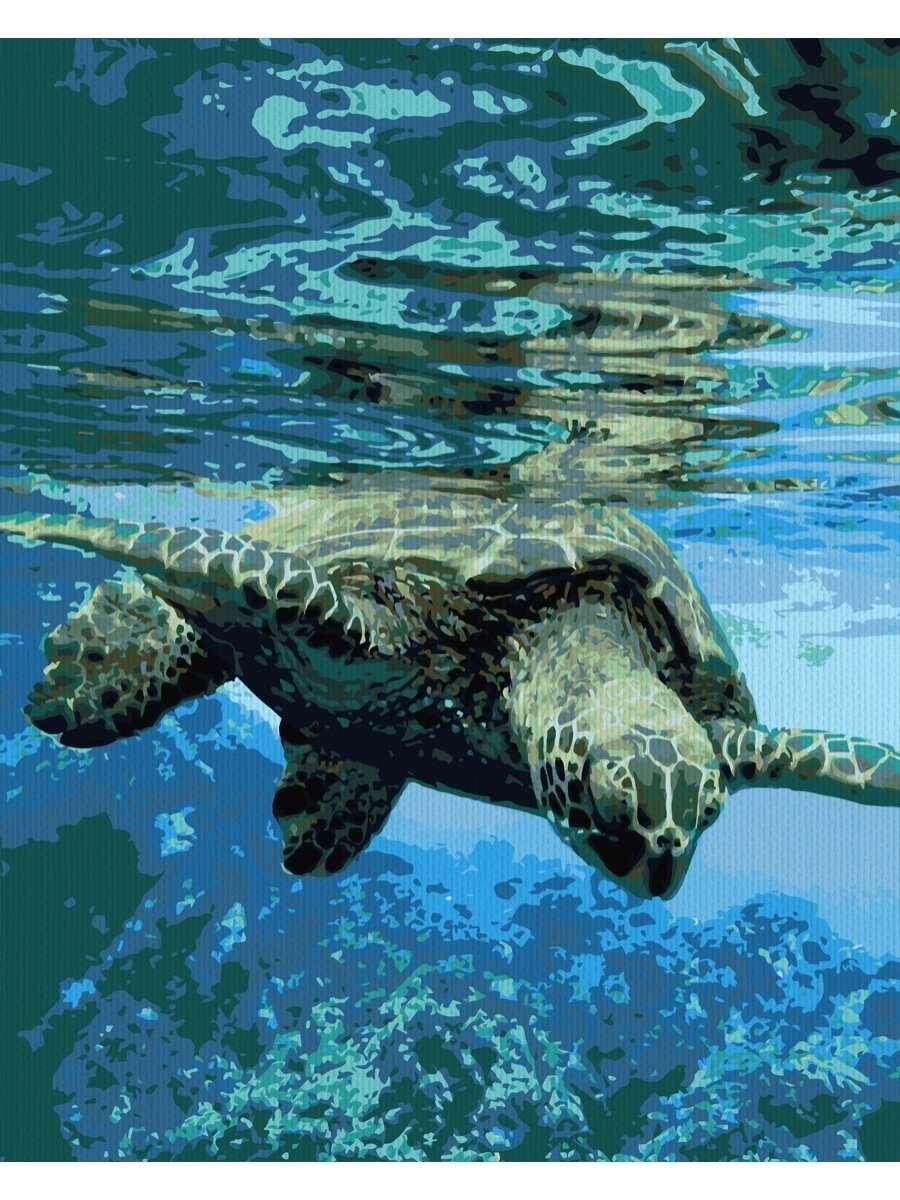 Картина по номерам на холсте с подрамником 40х50 см. Природа, животные, рыбы, птицы. "Ныряющая черепаха", арт. 2079/