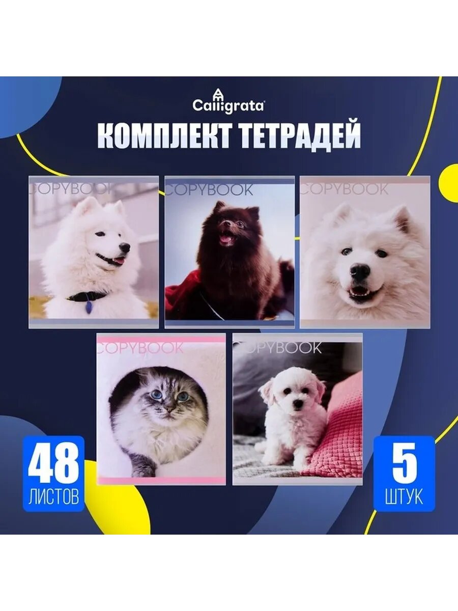 Стильный набор тетрадей для всей семьи
