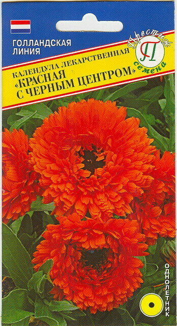 Семена календулы Престиж "Красная с черным центром", однолетник
