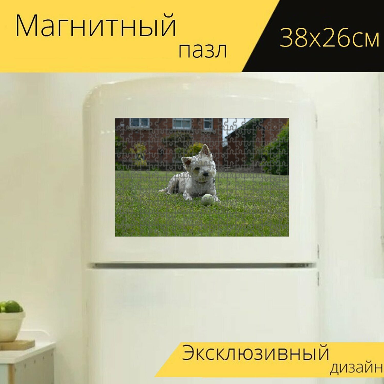 Магнитный пазл "Керн терьер, терьер, собака" для интерьера, 38х26 см.