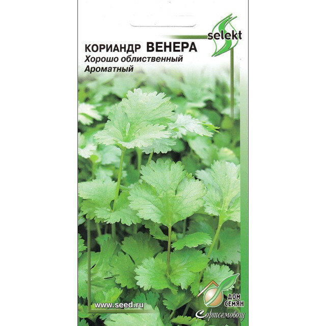 Семена кориандр дом семян венера 115шт компактные растения 2г