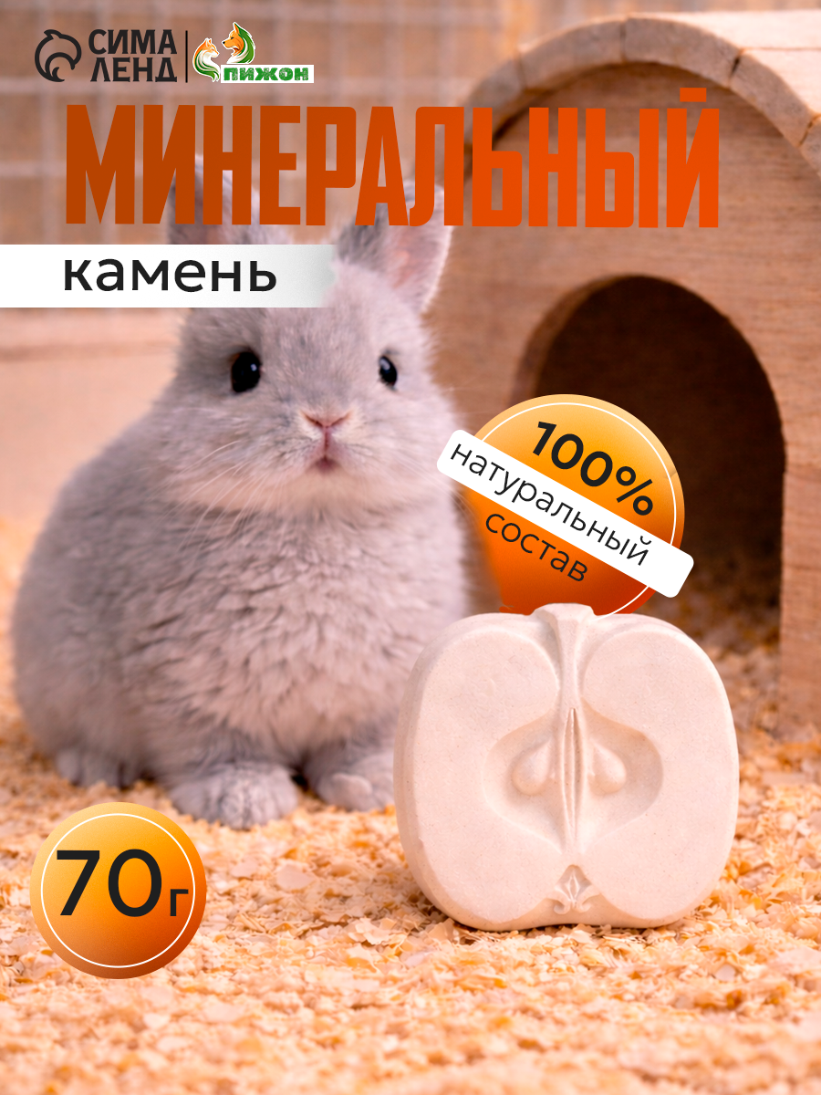 Минеральный камень "Пижон" для грызунов яблоко с углем, 70 г