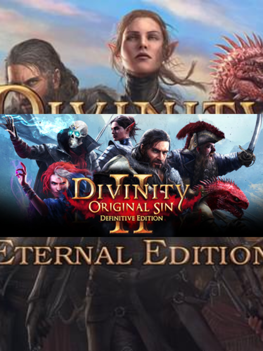 Игра Divinity: Original Sin 2 - Eternal Edition