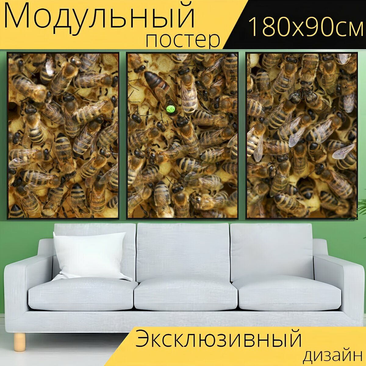 Модульный постер "Пчелы, матка, улей" 180 x 90 см. для интерьера на стену в тубусе