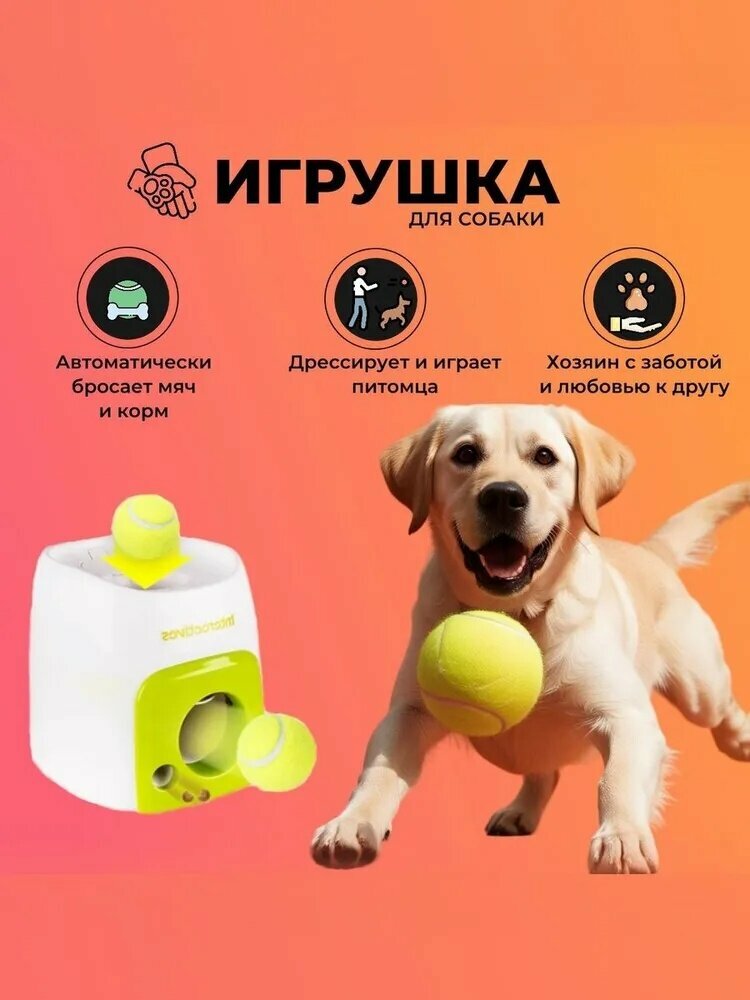 Катапульта для собак автоматическая, игрушки для собак