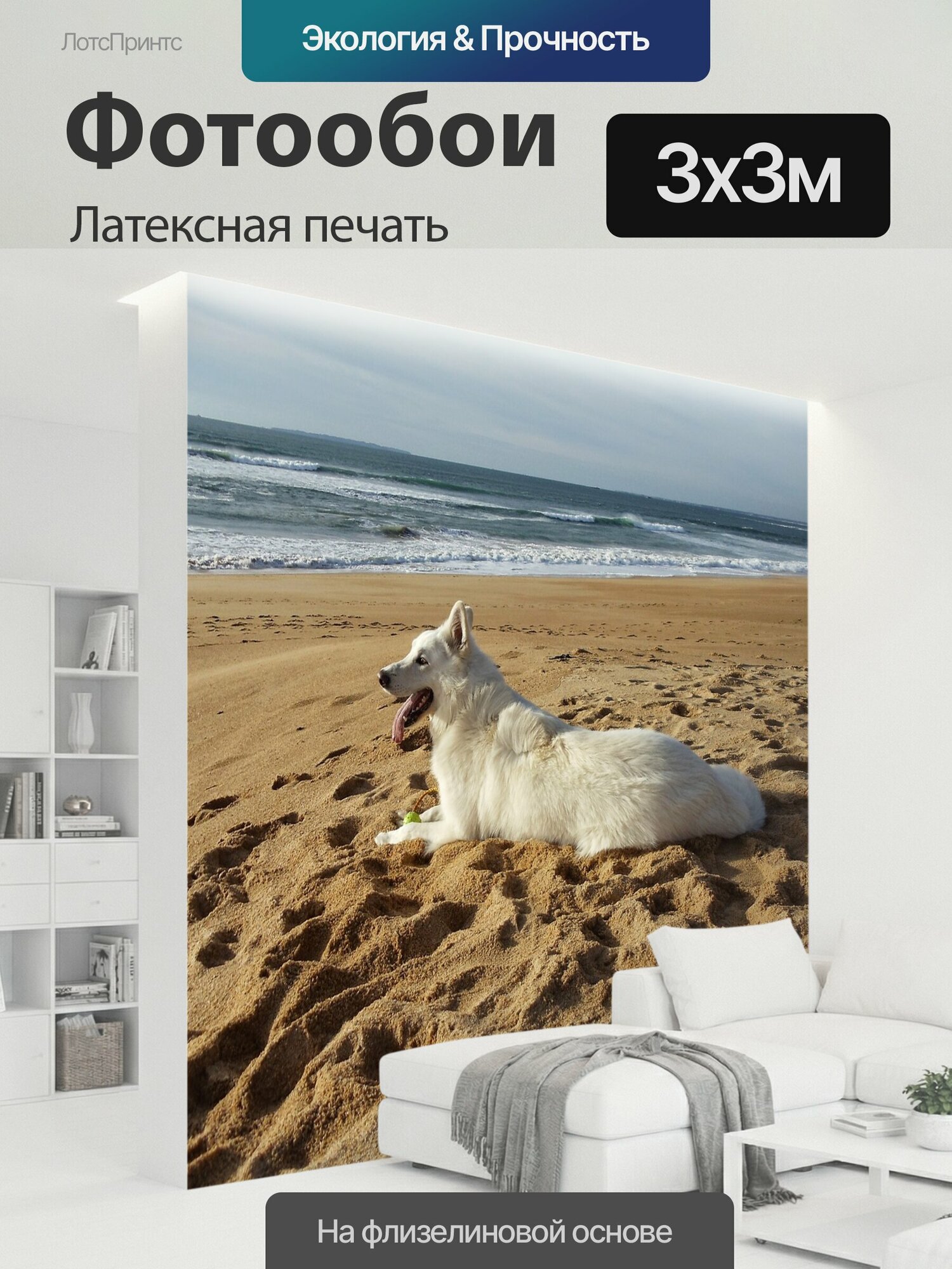 Фотообои моющиеся ударопрочные "Швейцарская белая овчарка, собака, животные" 300x300 см. латексная печать