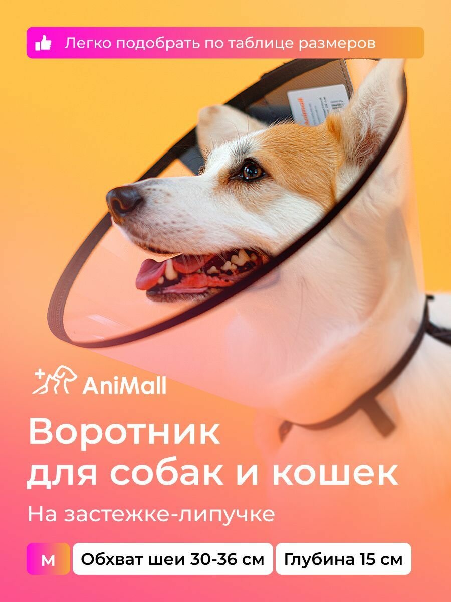 Воротник защитный ветеринарный для собак и кошек № 15 см, на липучке для мелких пород/ AniMall для мелких собак для мелких кошек