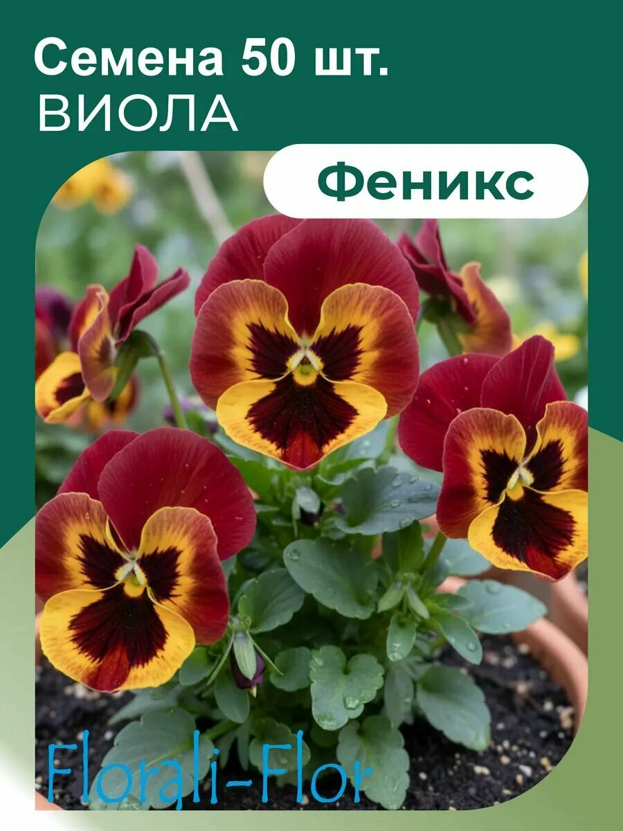 Виола Семена