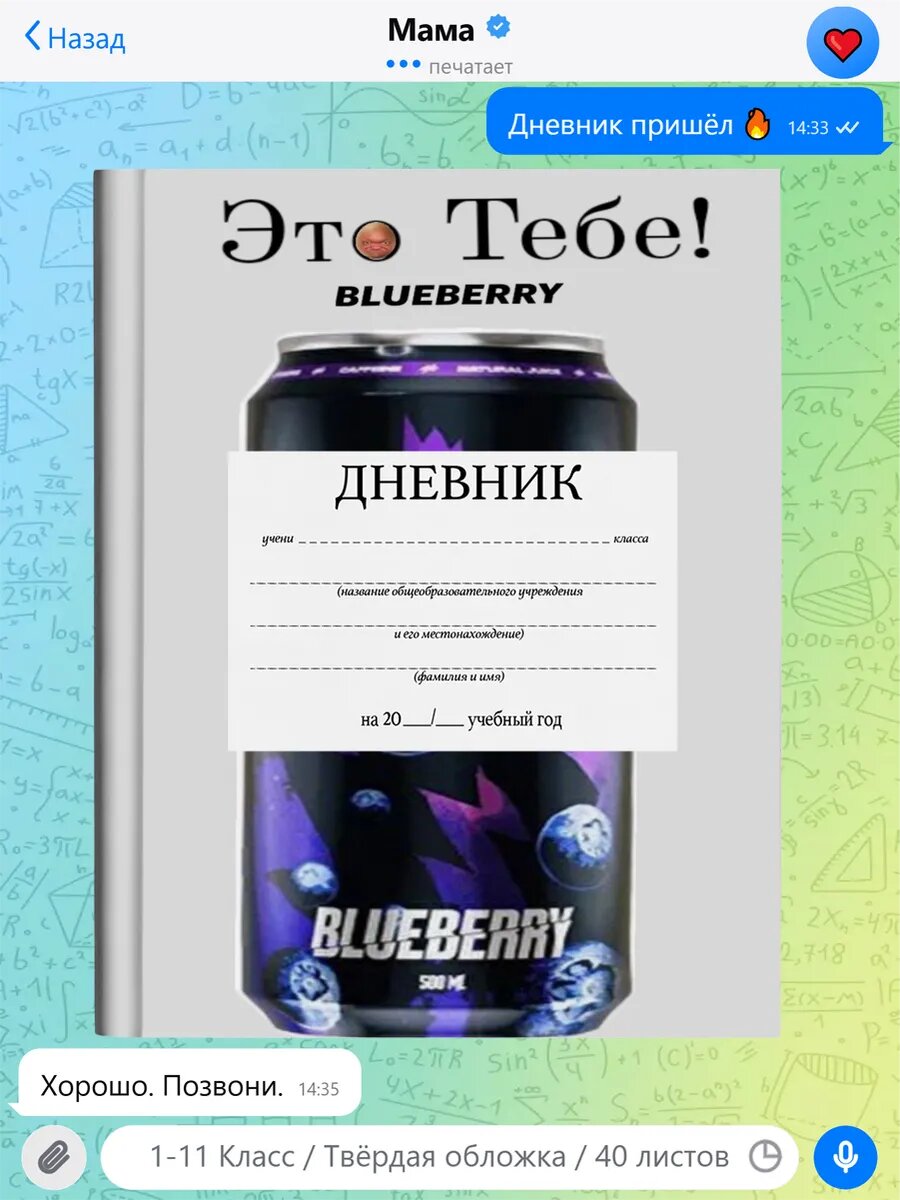 Школьный дневник с принтом Роблокс