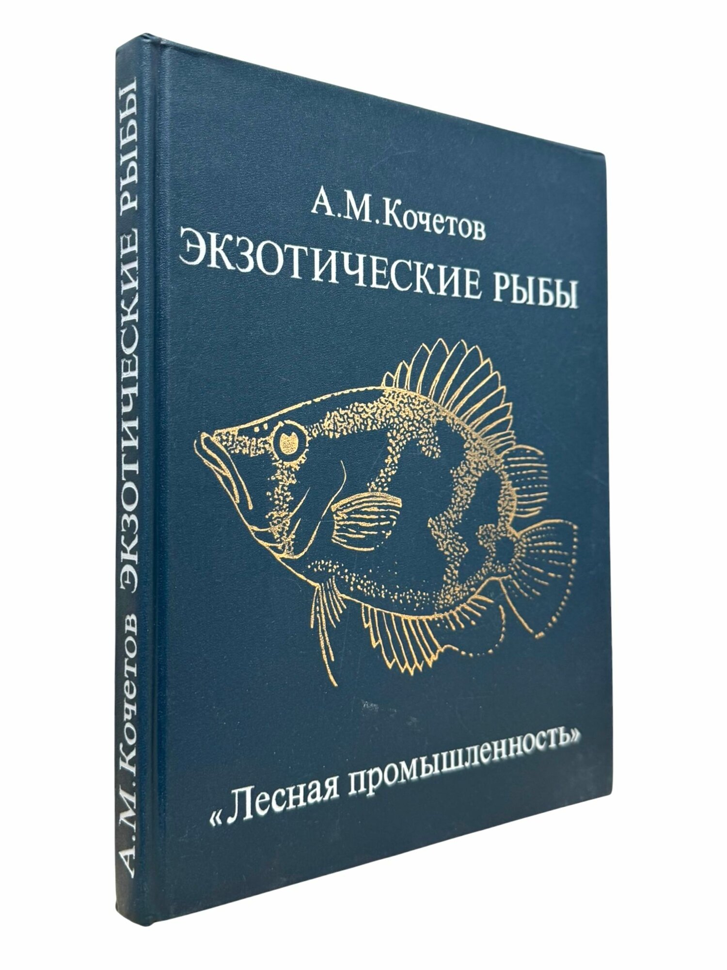 Экзотические рыбы