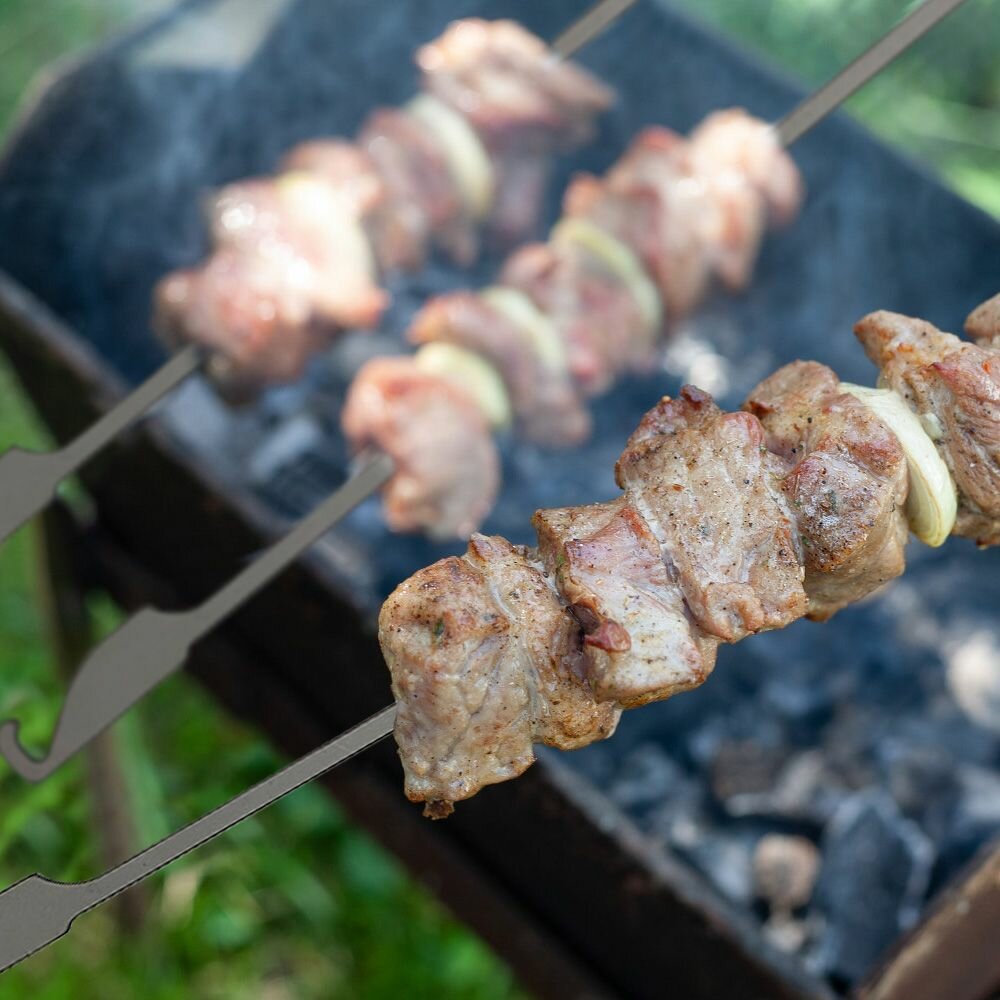 10 титановых шампуров для барбекю (плоские, 10 дюймов)