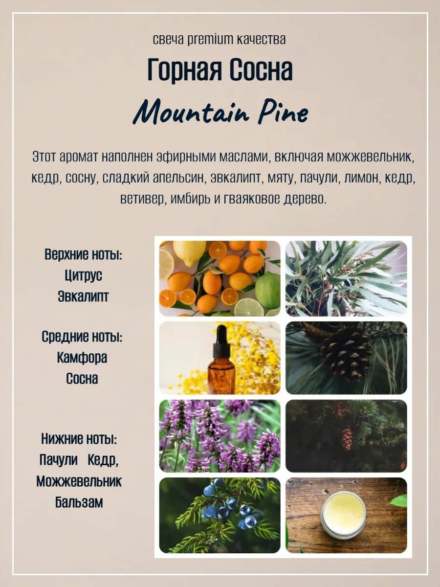 Аромасвеча XL CandleScience Mountain Pine — фото 1