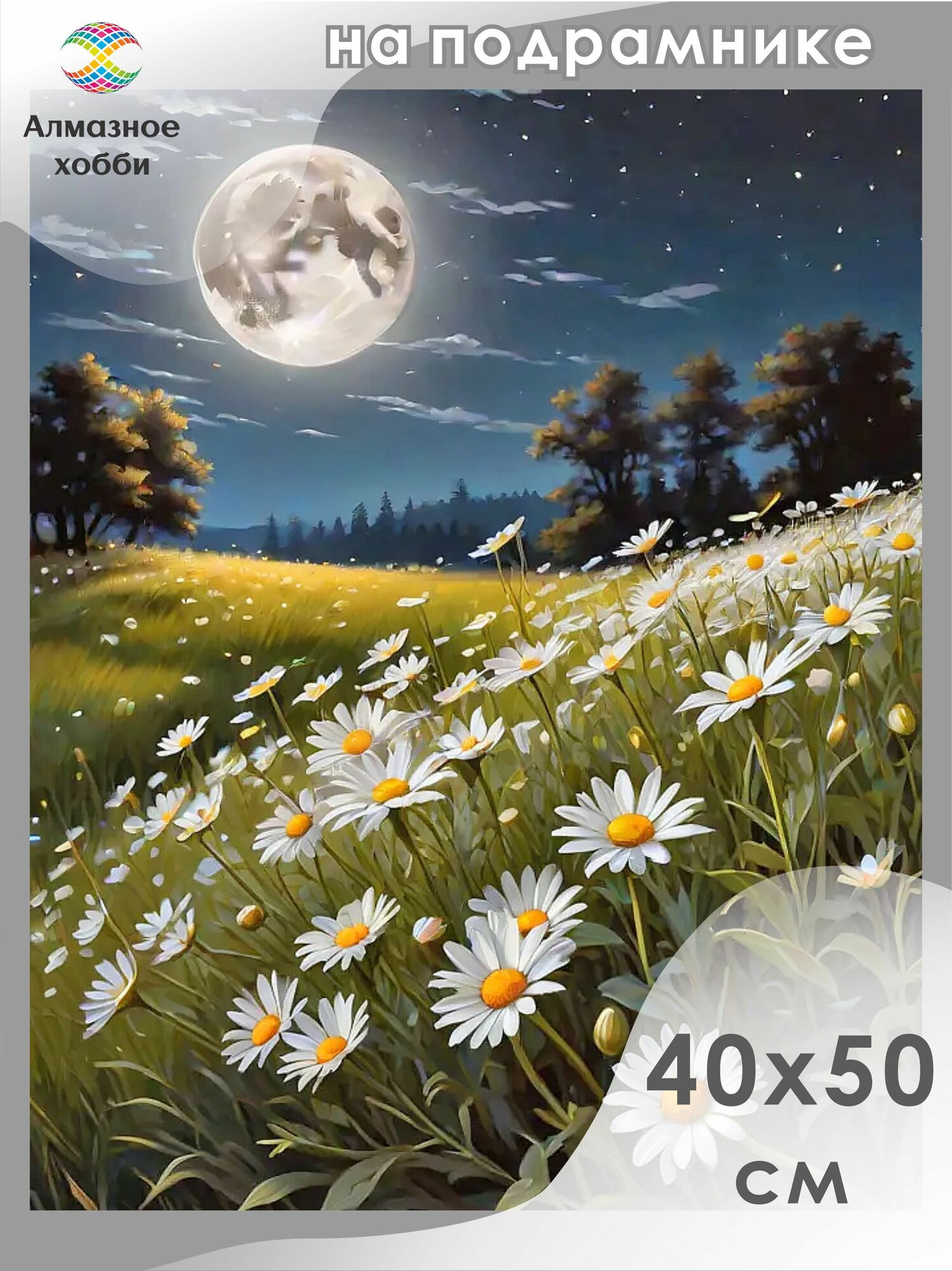 Алмазная мозаика на подрамнике Ромашки под луной 40х50