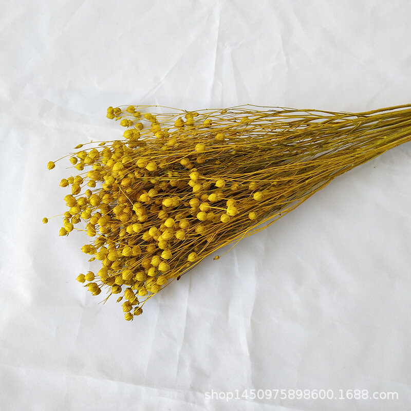 Букет цветов из бобов акации "Сделай сам", для рукоделия, 50 г