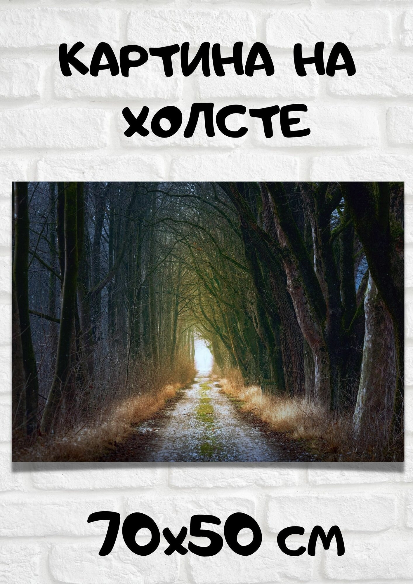 Картина с грунтовой, песчаной одинокой дорогой среди природы / Интерьерная картина Road