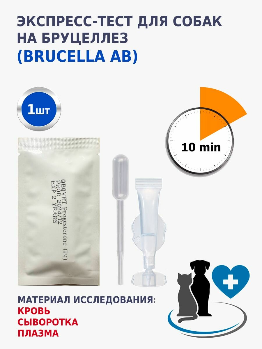 Экспресс-тест QBQVET для собак на Бруцеллез (Brucella Ab), 1шт