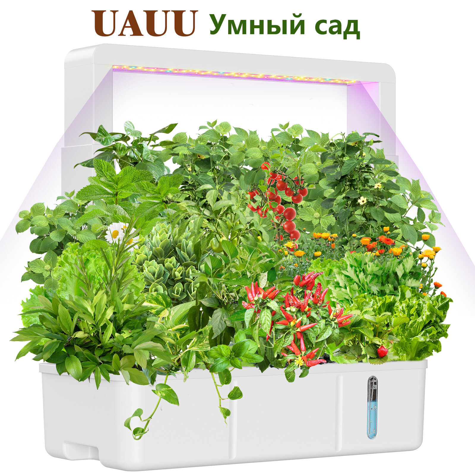 Мини-тепличка