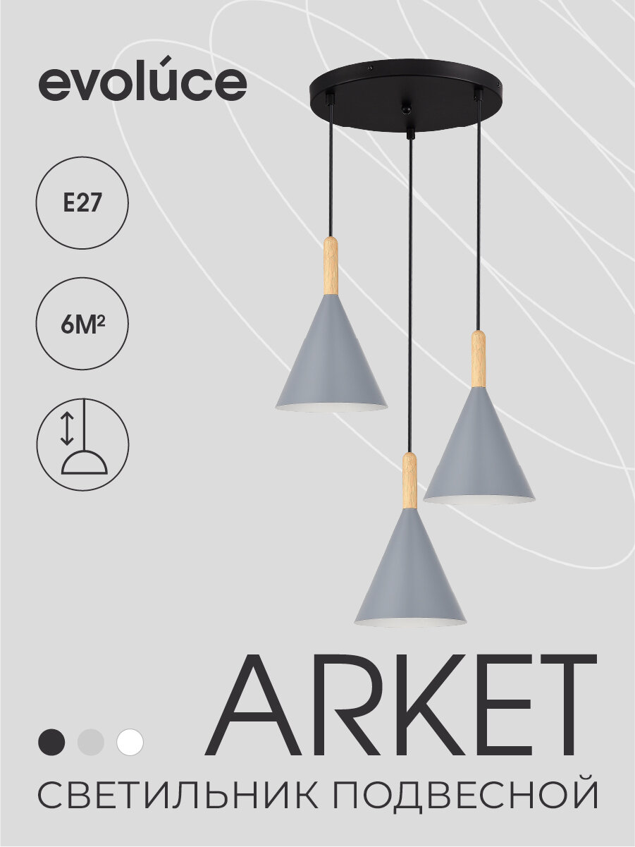 Светильник подвесной, подвес Evoluce Черный/Серый E27 3*40W SLE1255-433-03
