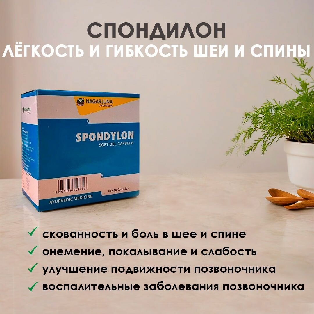 Спондилон Нагарджуна / Spondylon Nagarjuna 100 кап