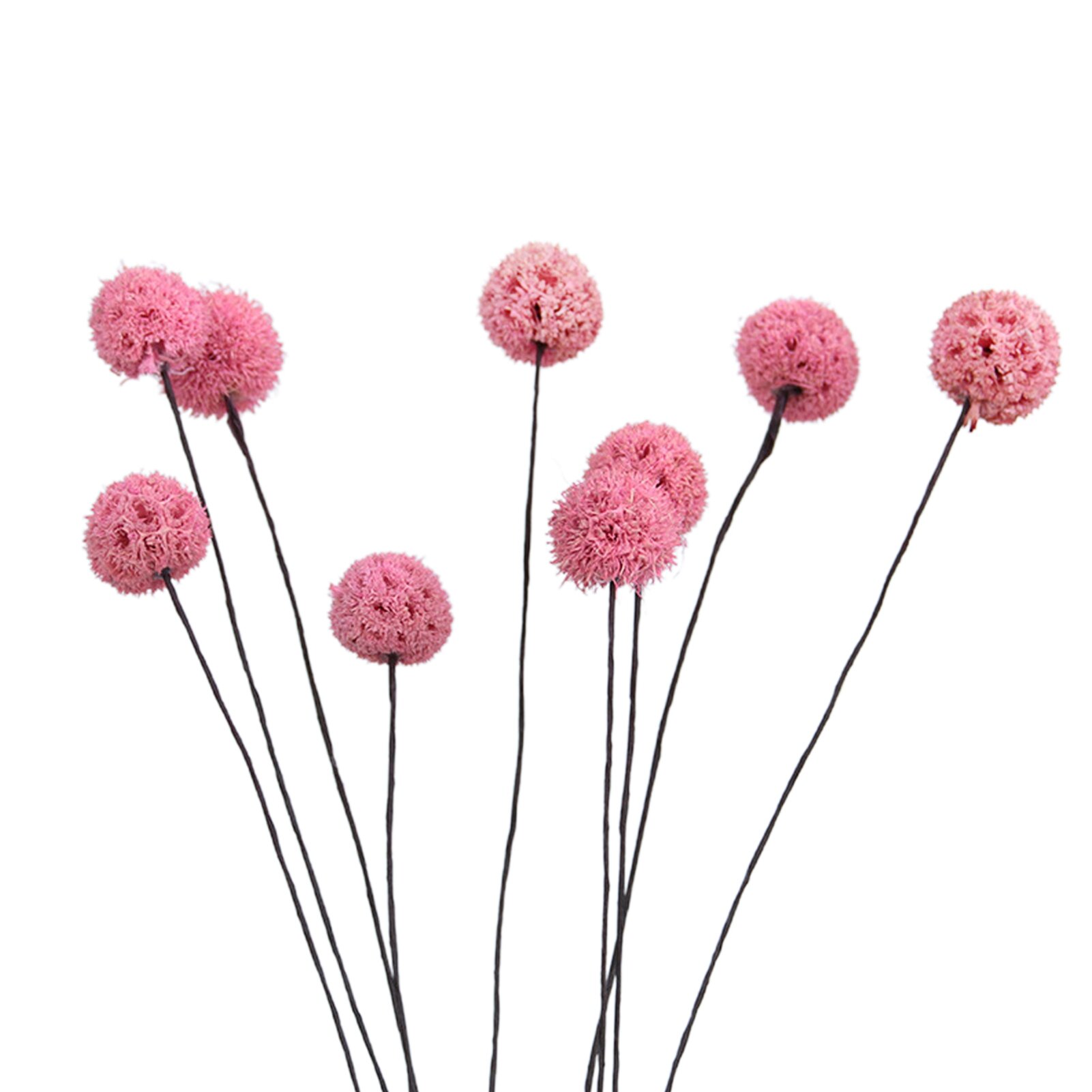 Billy Ball Flowers Dried Artificial Home Garden Decoration