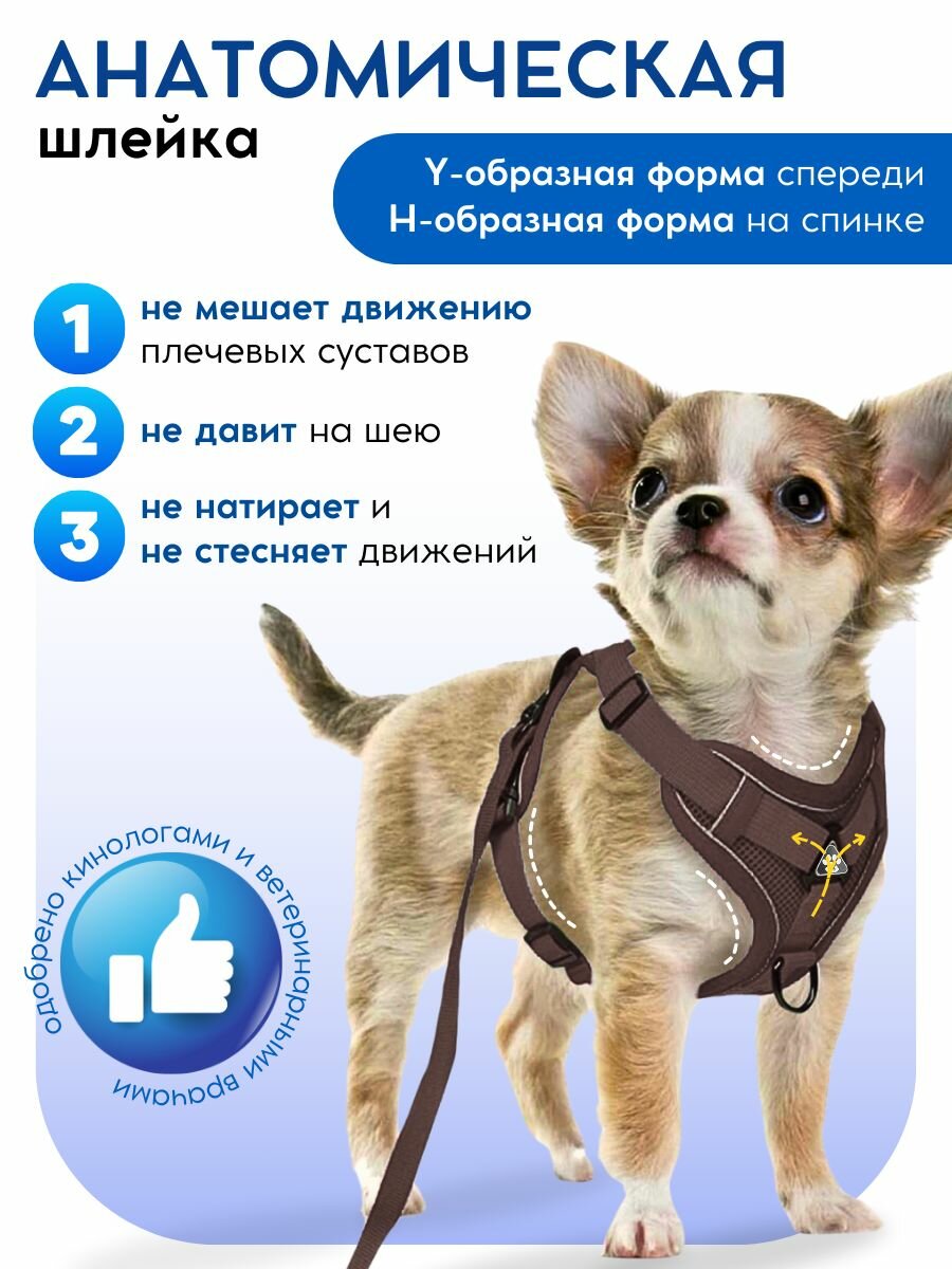 Шлейка — фото 1