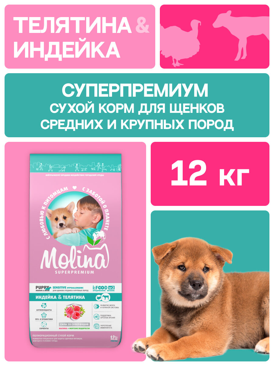 Корм для щенков и молодых собак сухой для средник и крупных пород с индейкой и телятиной MOLINA, 12 кг.